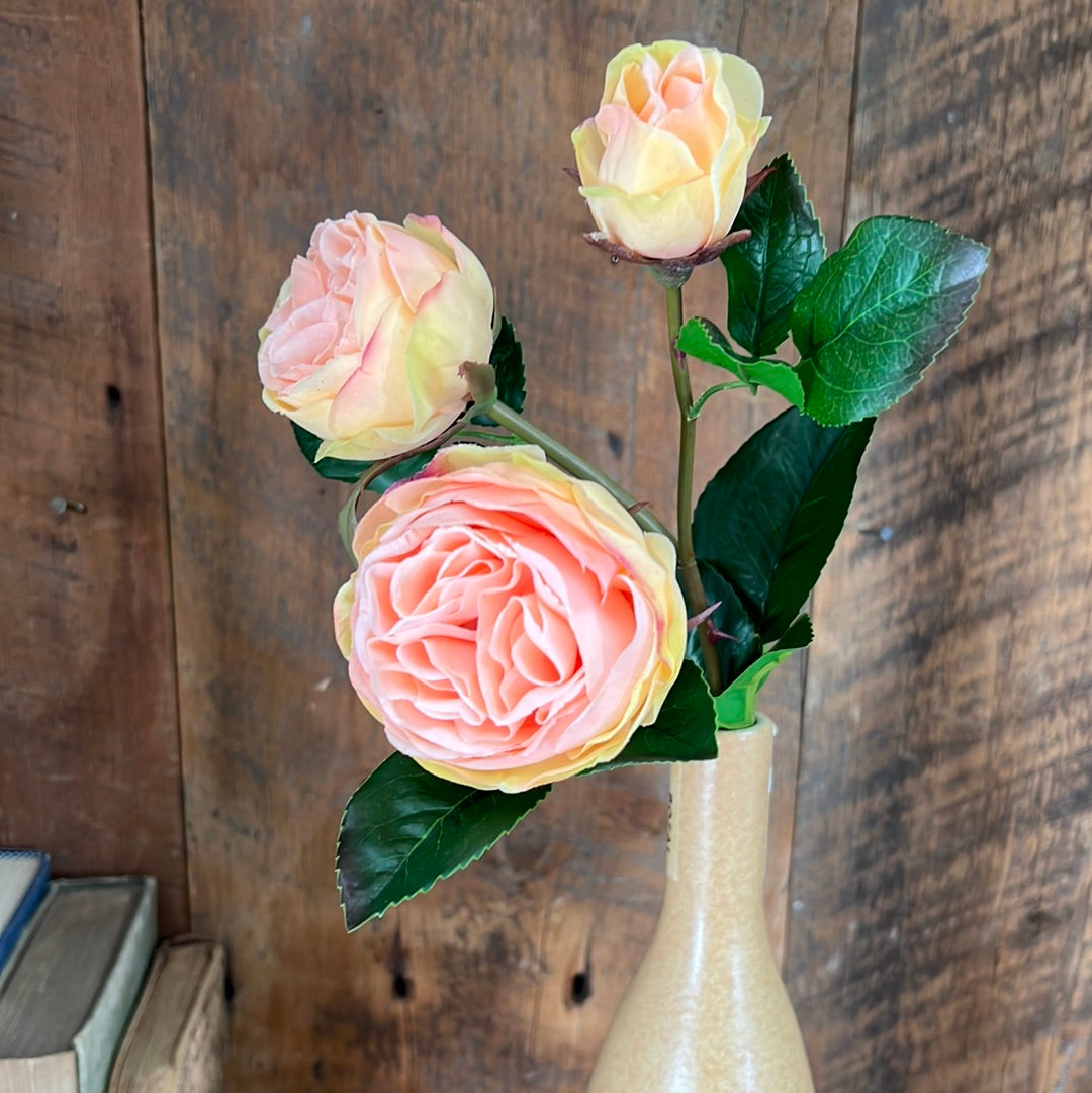 Floral Stems – Page 2