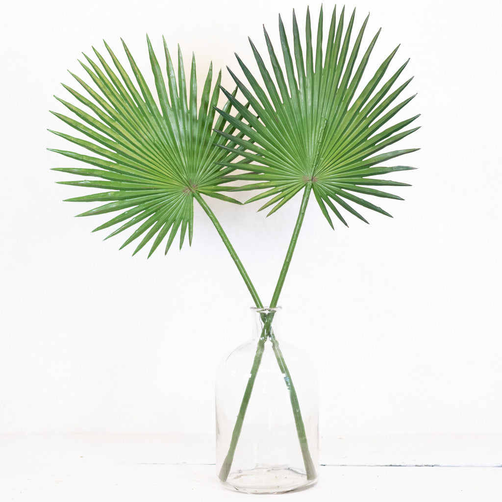 Fan Palm Stem 33"L
